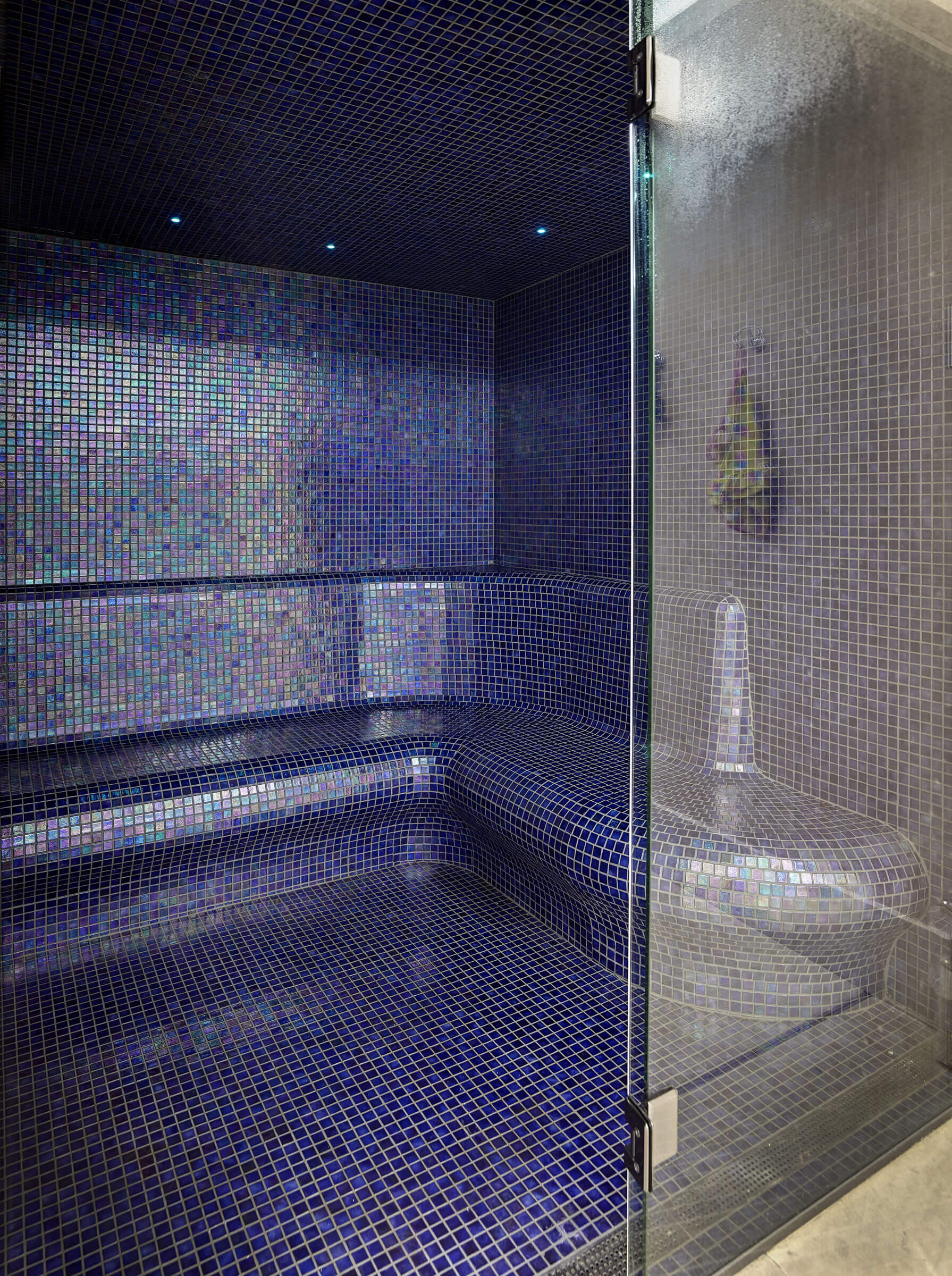 Wellness - Steam - Portrait Pools